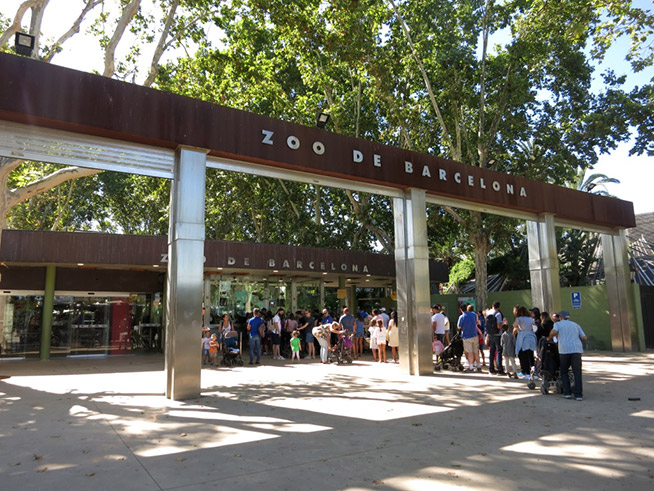 Barcelona Zoo in Parc de la Ciutadella | Barcelona With Marta
